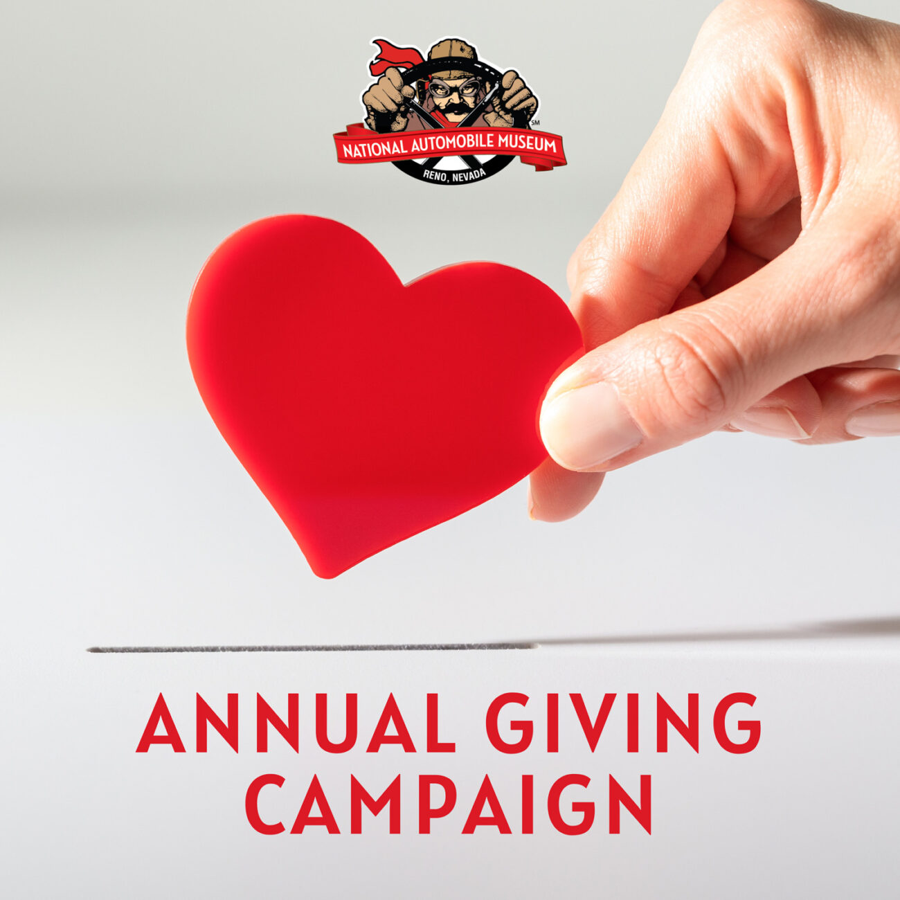 Annual Giving Campaign - Nam